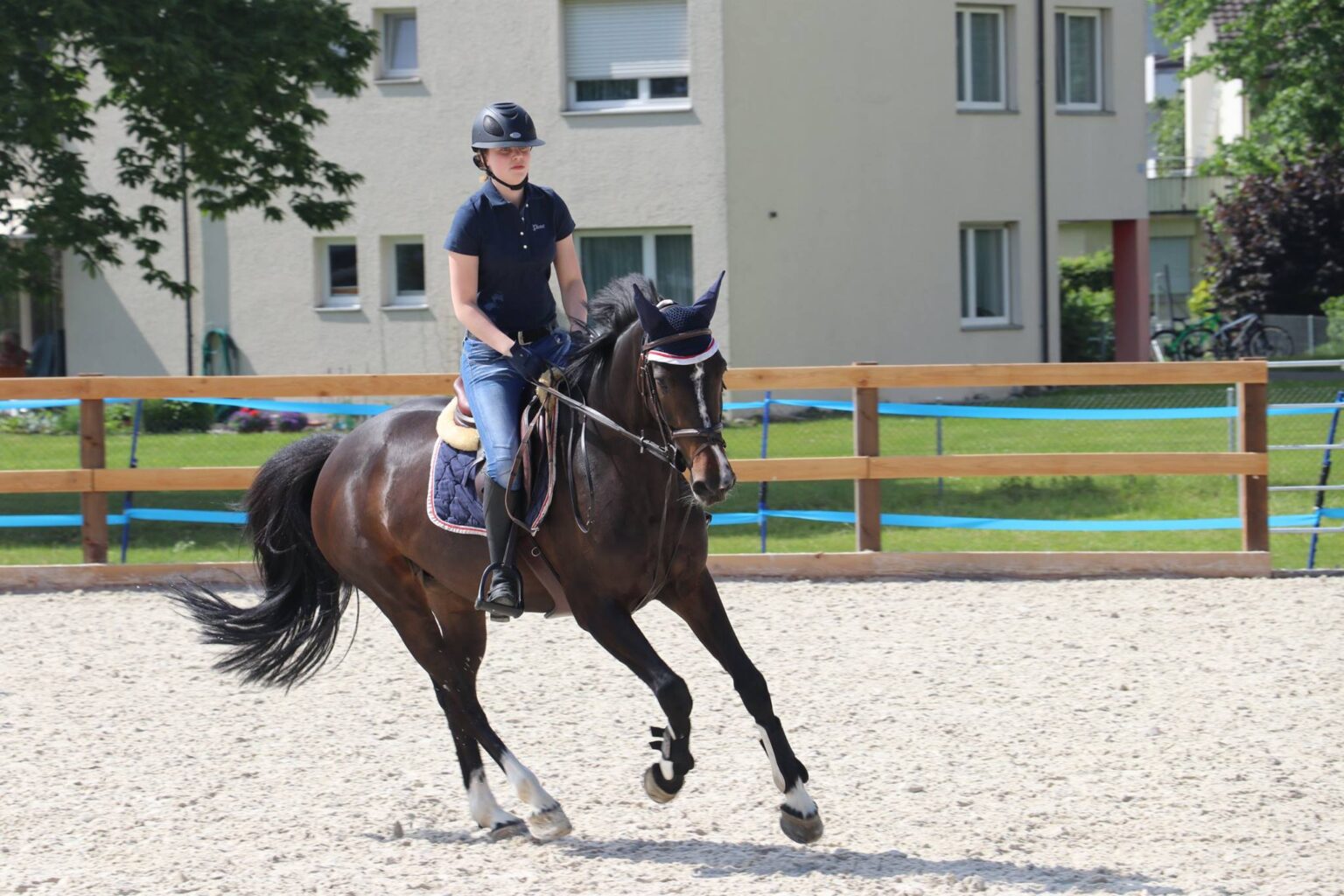 Institut auf dem Rosenberg